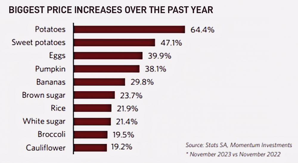 Momentum Investments’ report signals positive economic trends for 2024 ...