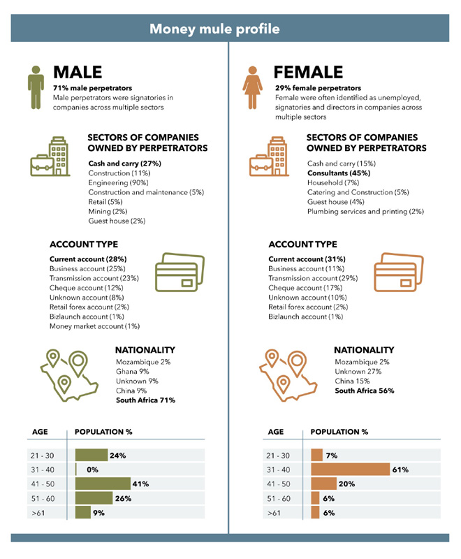 FIC report on how accountable institutions can identify money mule ...